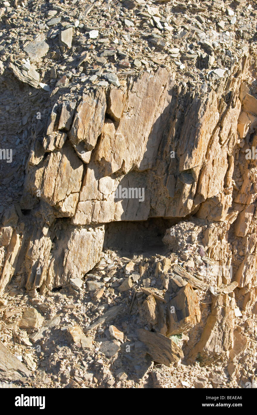schist soil vineyard quinta do seixo sandeman douro portugal Stock ...