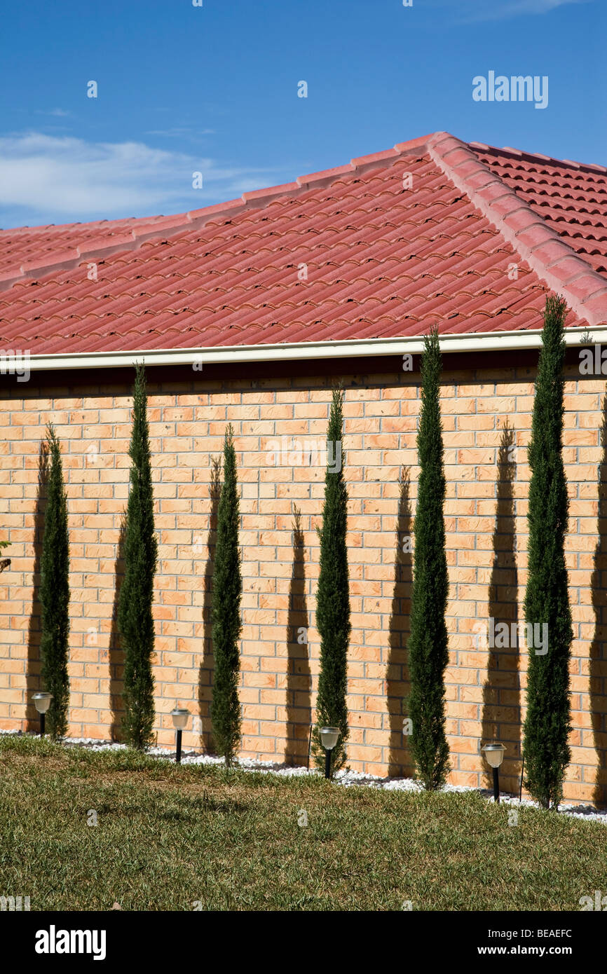 A bushes lining the exterior wall of a home Stock Photo - Alamy