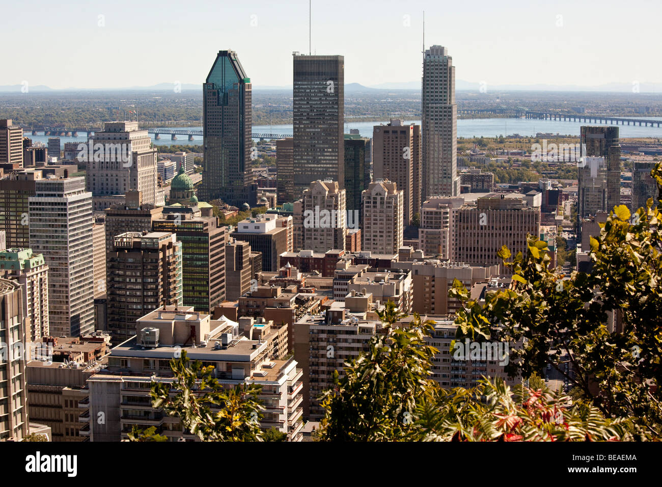Skyline view from Mont Royal Montreal Canada Stock Photo - Alamy