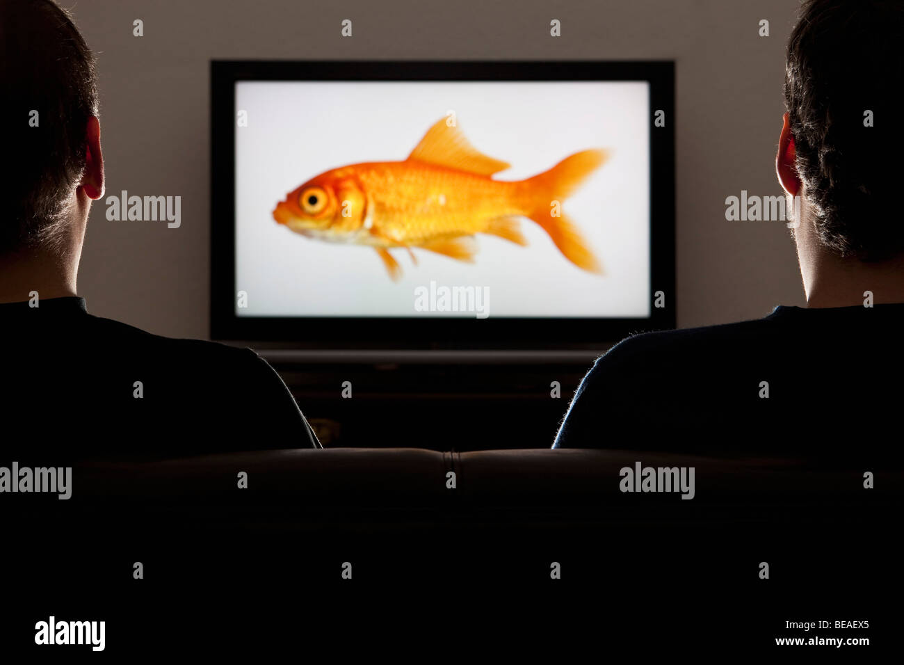 Two men watching TV, rear view Stock Photo - Alamy