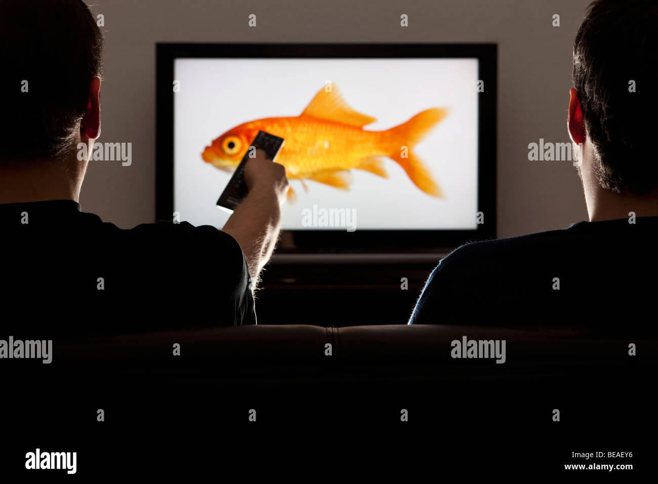 Two men watching television with one using a remote control Stock Photo ...