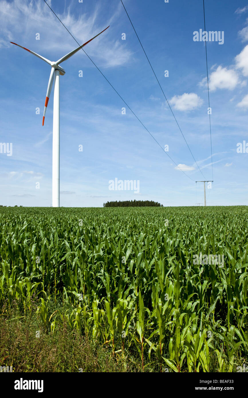 Wind turbines field in hi-res stock photography and images - Alamy