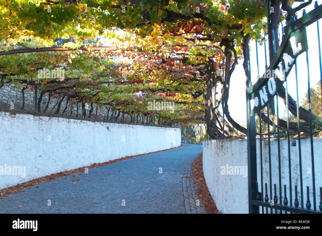 Entrance gate road hi-res stock photography and images - Alamy