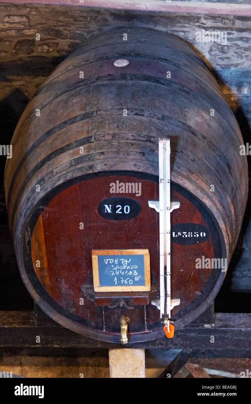 Portuguese tank hi-res stock photography and images - Alamy