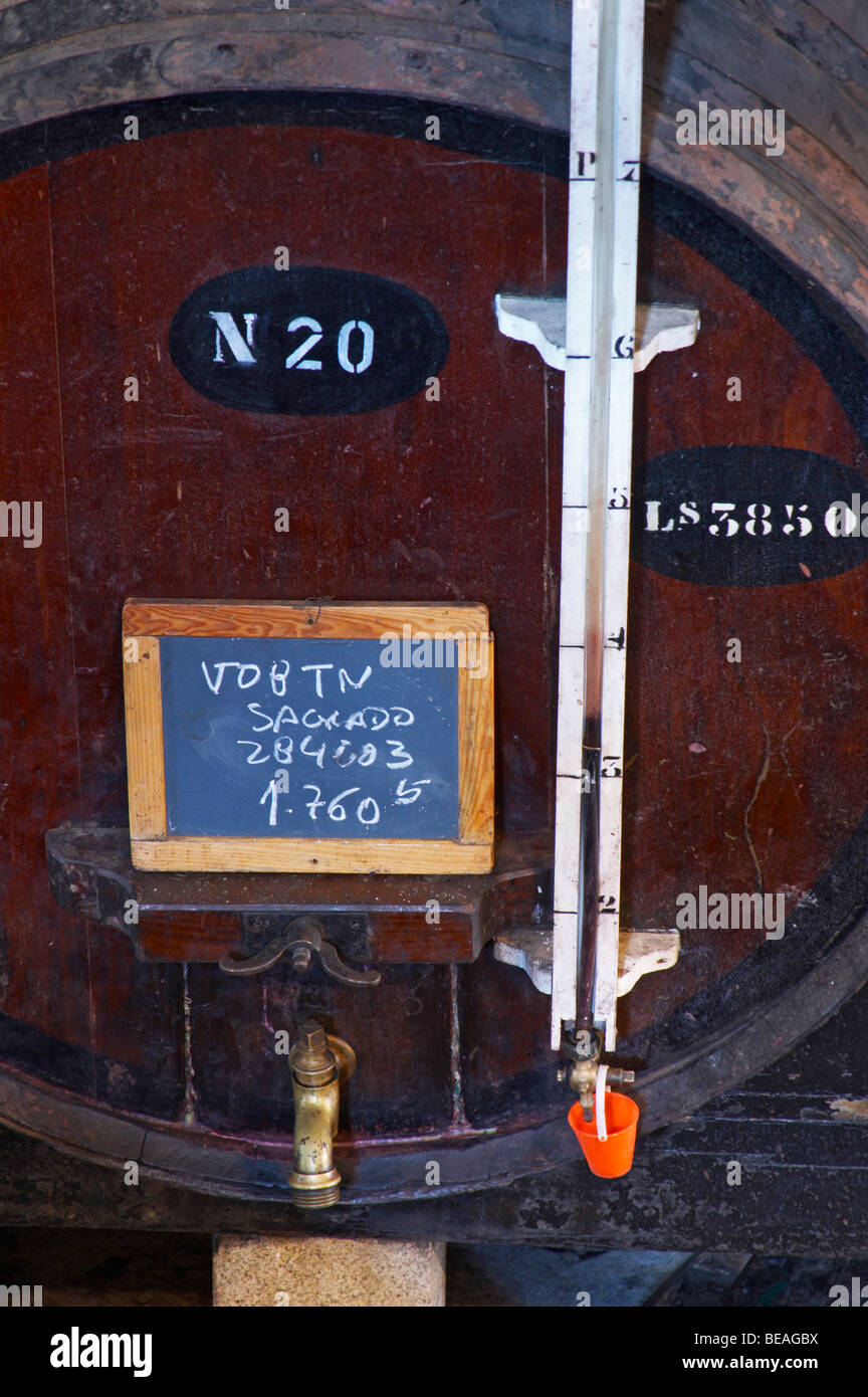 Portuguese tank hi-res stock photography and images - Alamy