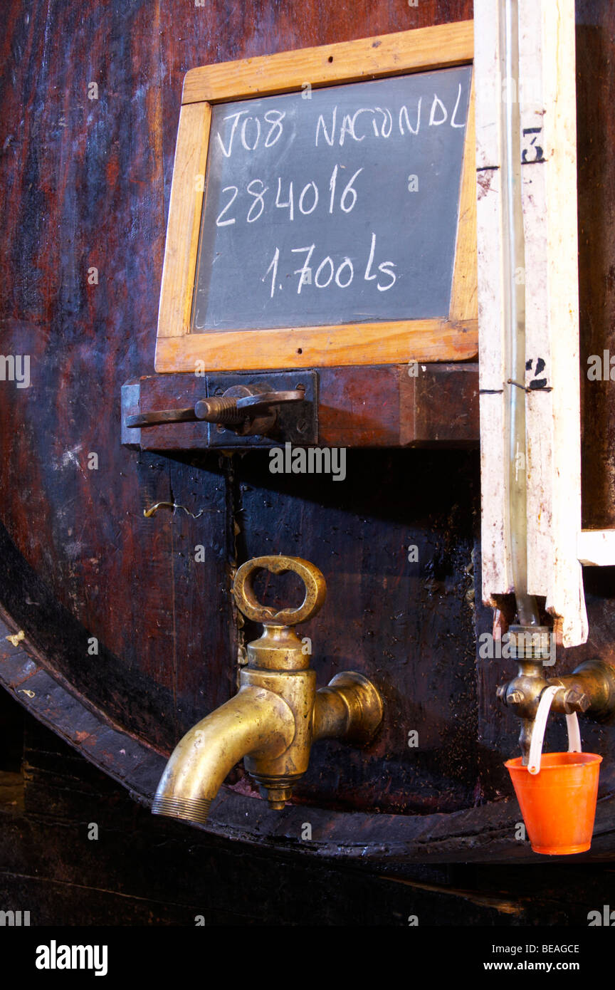 Touriga nacional douro hi-res stock photography and images - Alamy