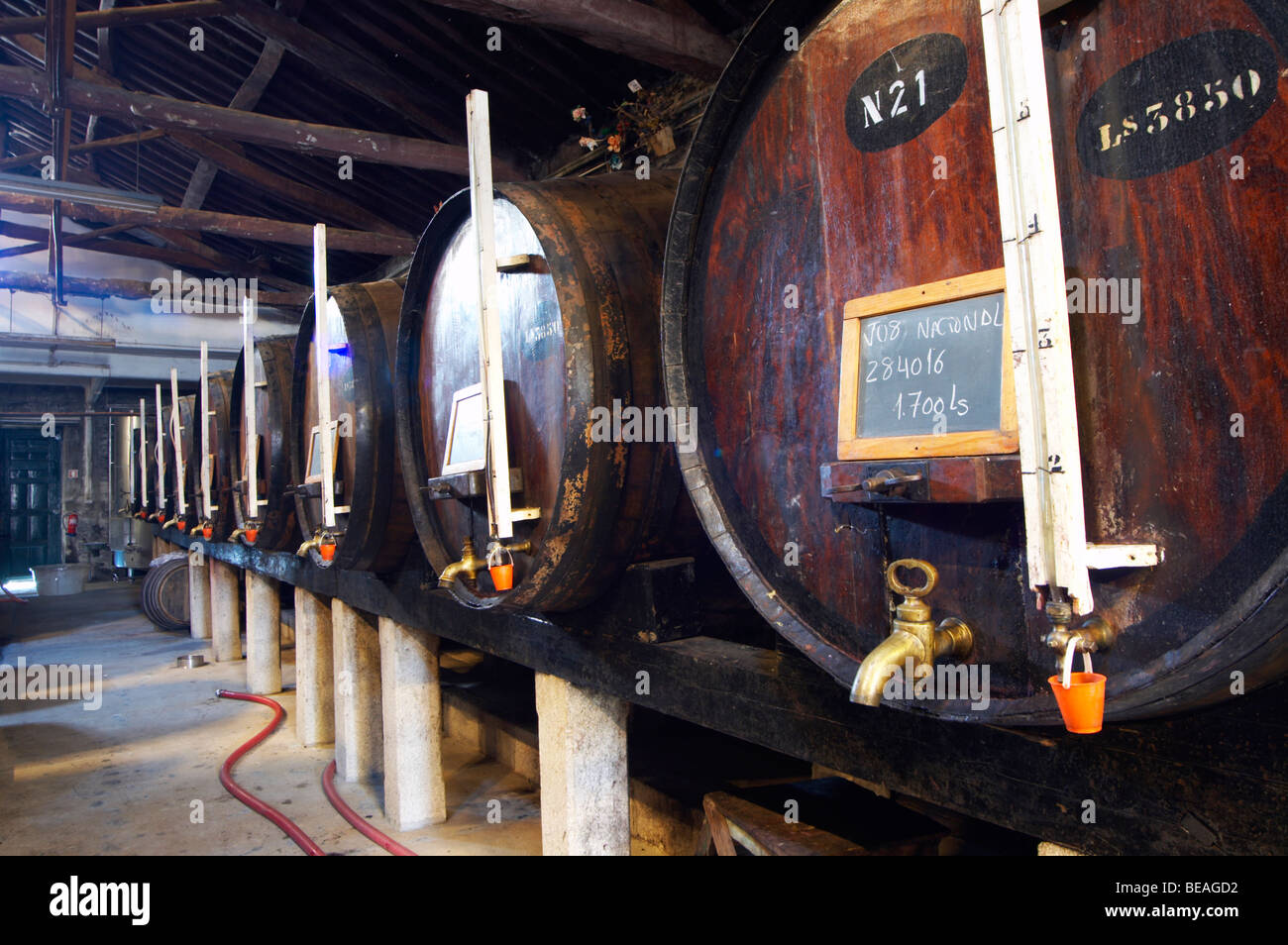 vats with nacional signs on tank quinta do noval douro portugal Stock ...