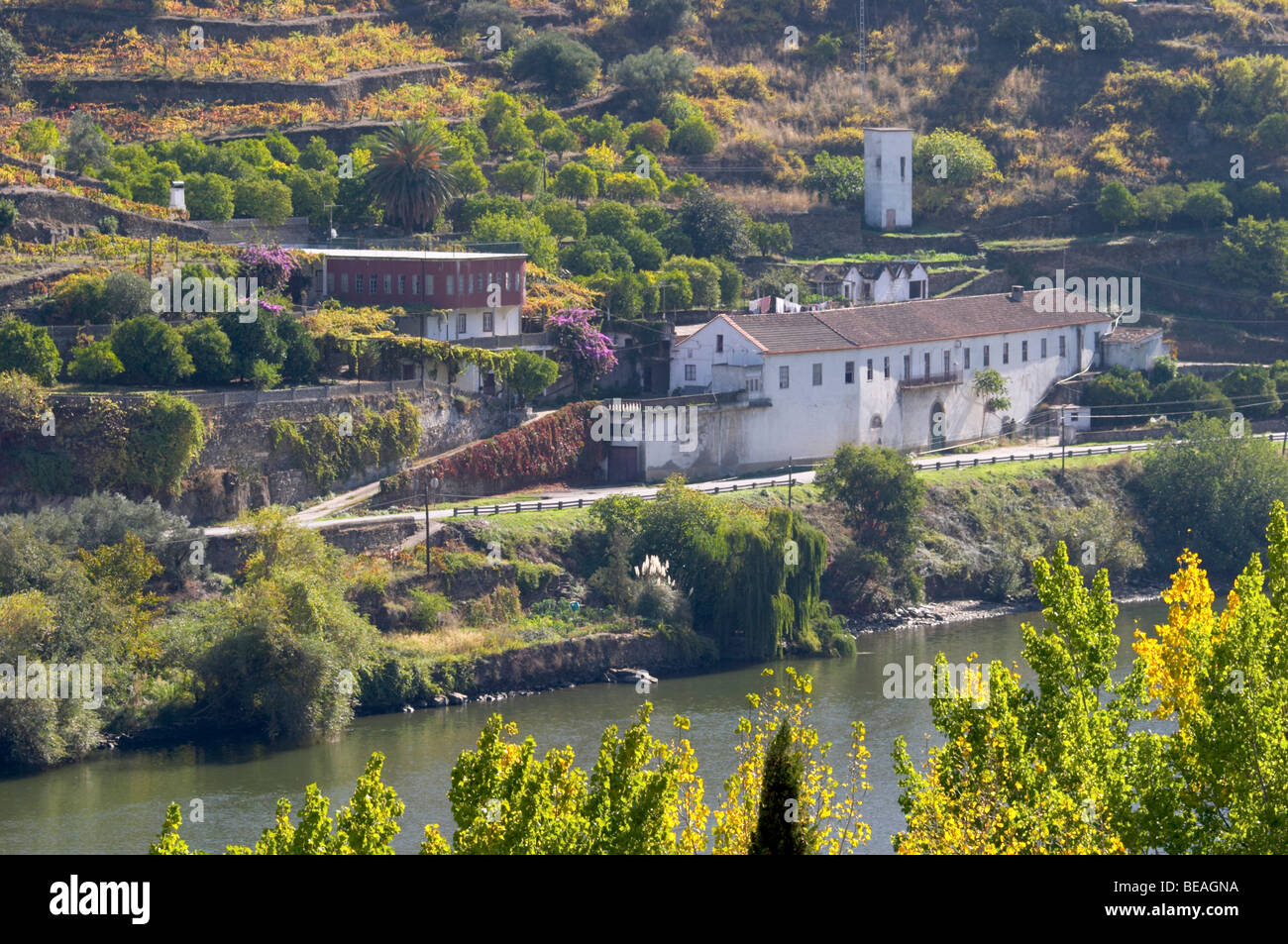 a quinta douro portugal Stock Photo - Alamy