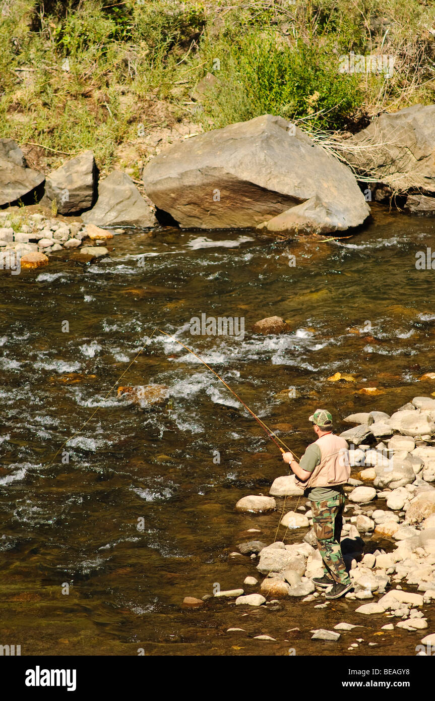 Fishing for trout on the Carson River Markleeville Stock Photo - Alamy