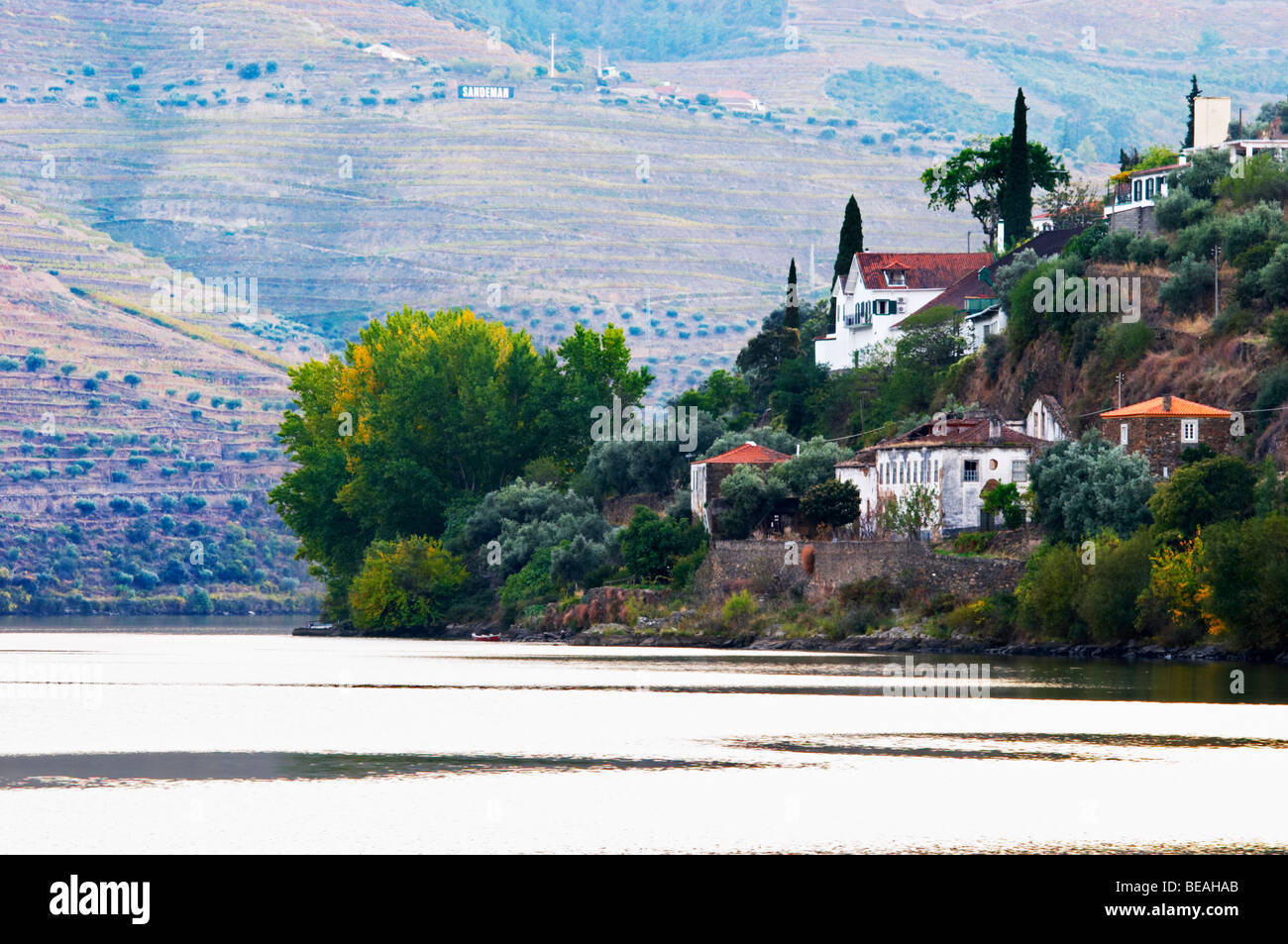 douro river and steep vineyards a quinta douro portugal Stock Photo - Alamy