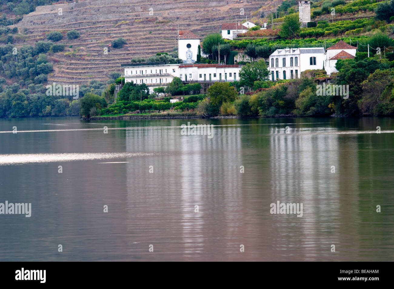 douro river and steep vineyards a quinta douro portugal Stock Photo - Alamy