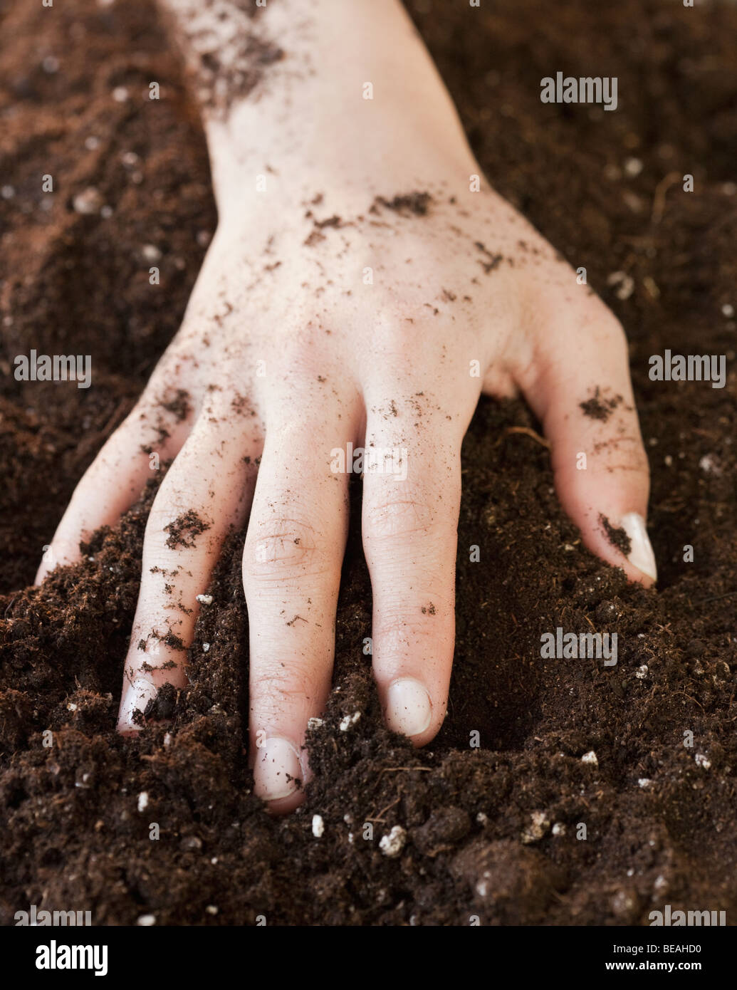 Planting detail hi-res stock photography and images - Alamy
