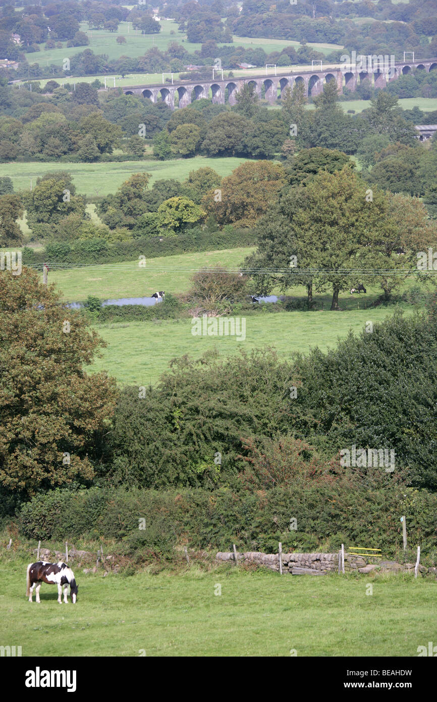 East Cheshire rural view of a railway viaduct near Congleton Stock ...