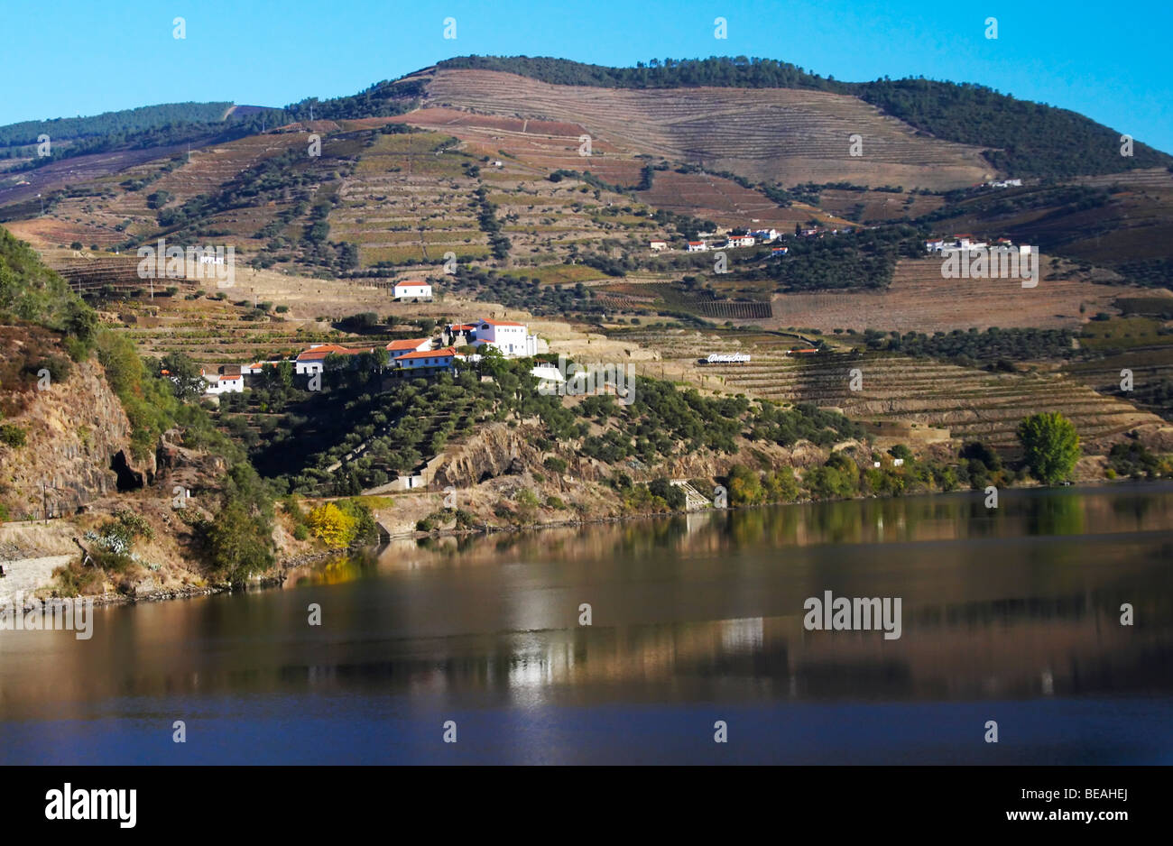 vineyards a quinta douro portugal Stock Photo - Alamy