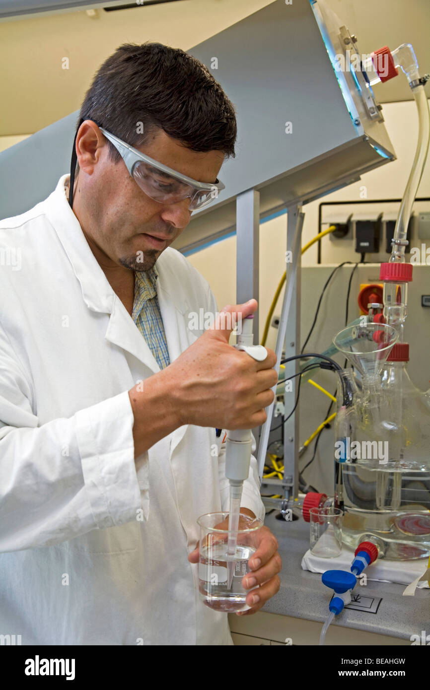 A scientist taking samples with a pipette, Cologne, Germany Stock Photo ...