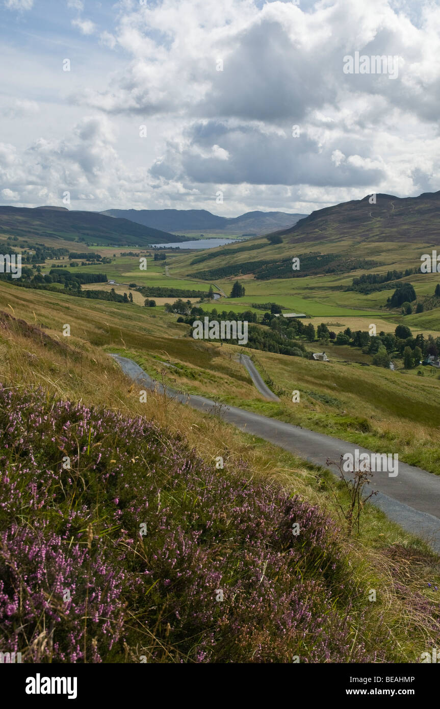 dh GLEN QUAICH PERTHSHIRE Scottish Roadside heather road leading into ...