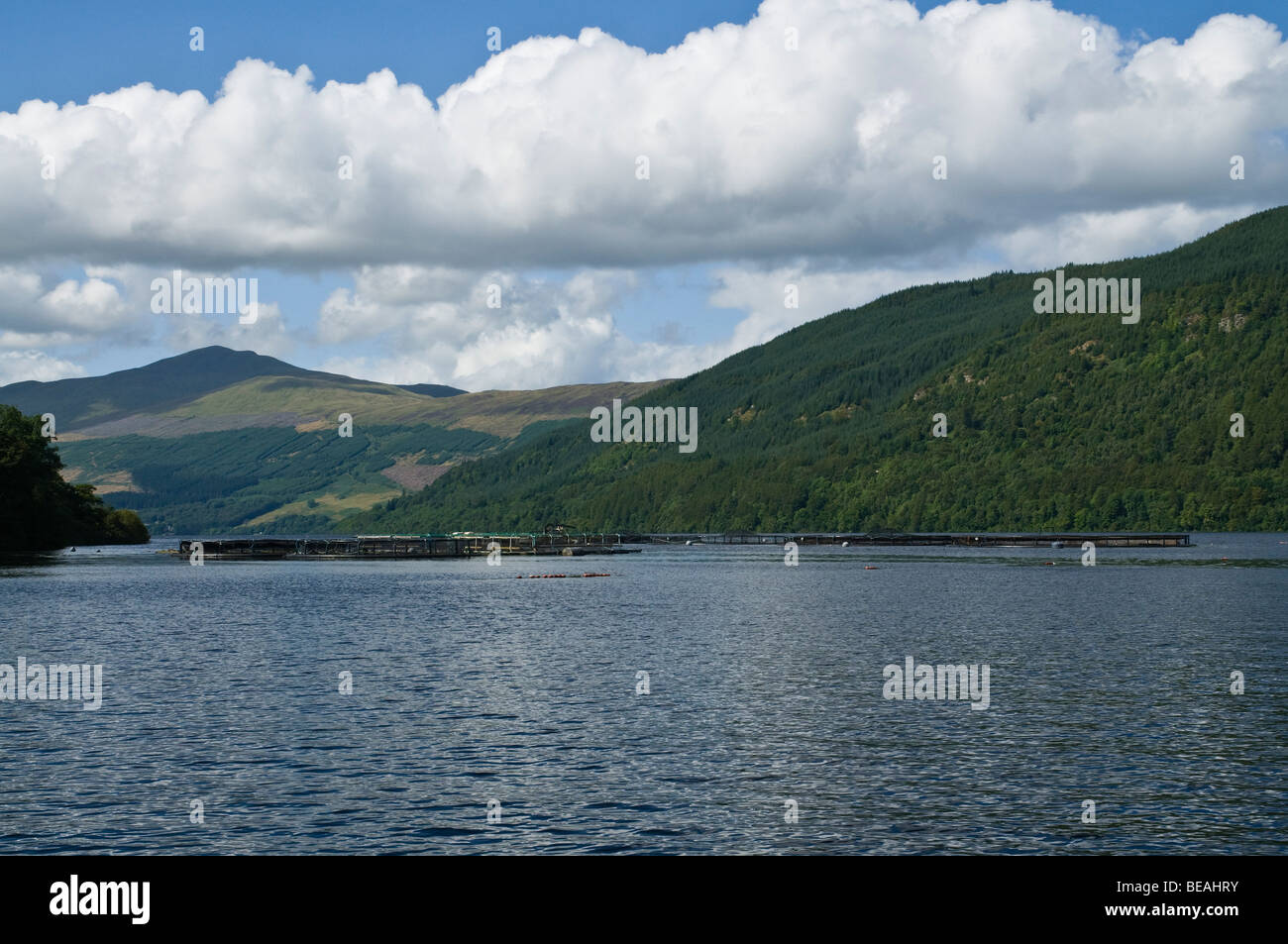 dh LOCH TAY PERTHSHIRE Fishfarming Loch Tay fishfarm cages scenic ...