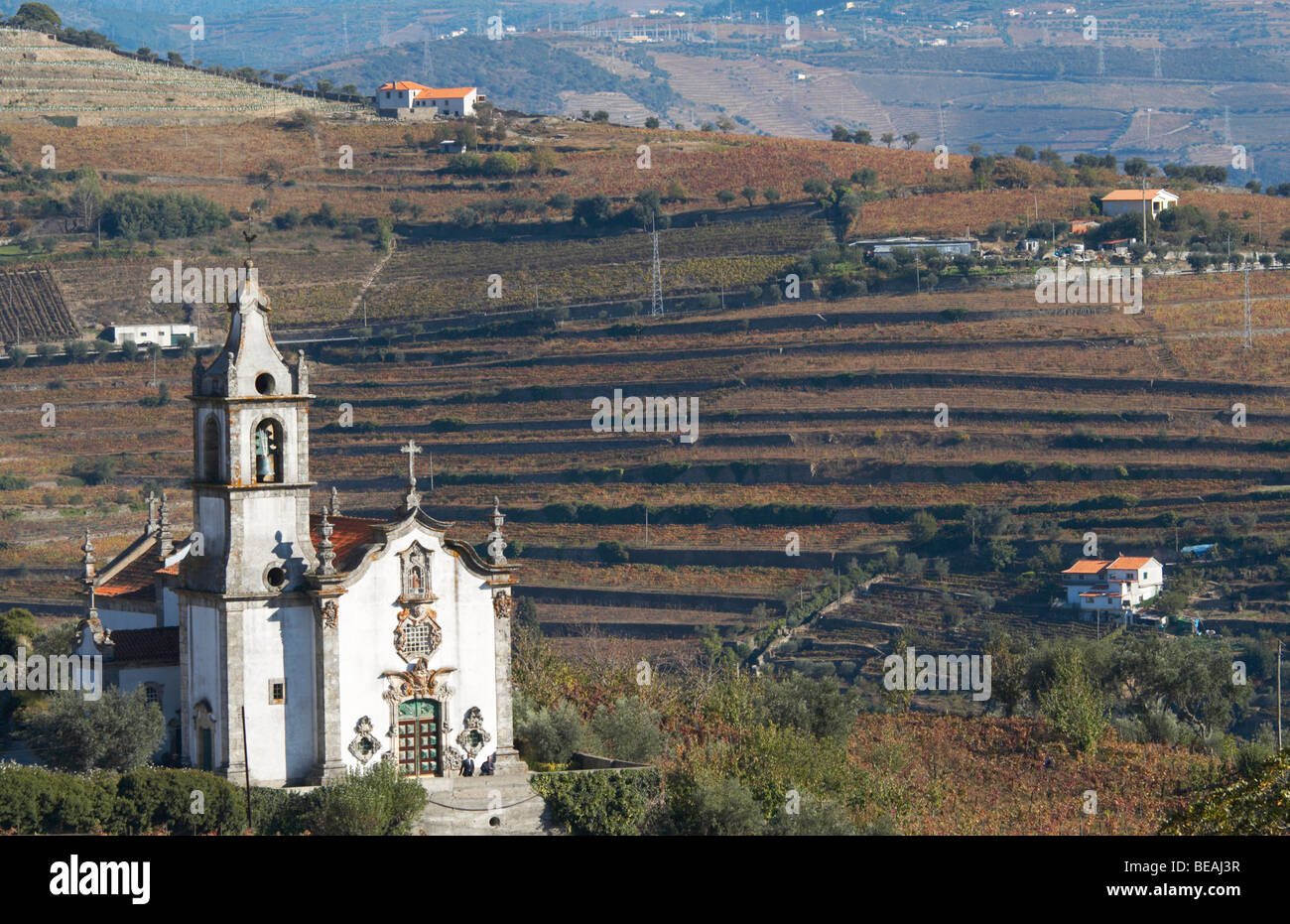vineyards church, cidadelhe, mesao frio douro portugal Stock Photo - Alamy