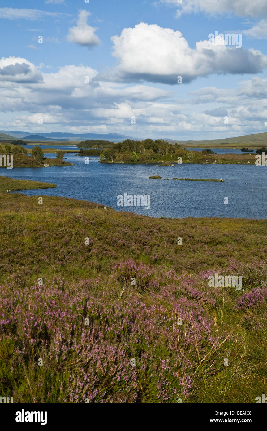 Wet moorlands hi-res stock photography and images - Alamy
