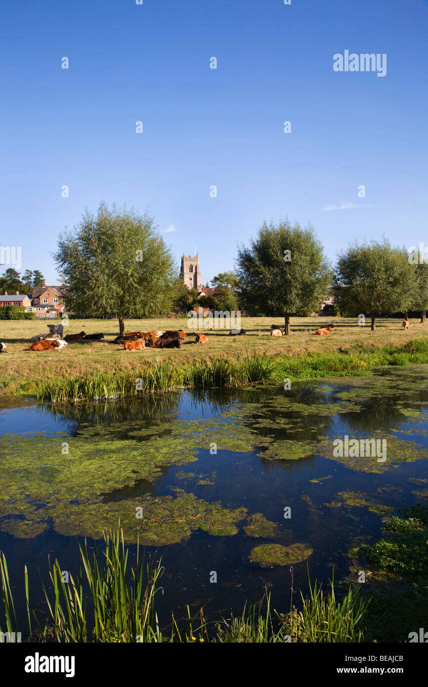 The River Stour Water Meadows and All Saints Church Sudbury Suffolk ...