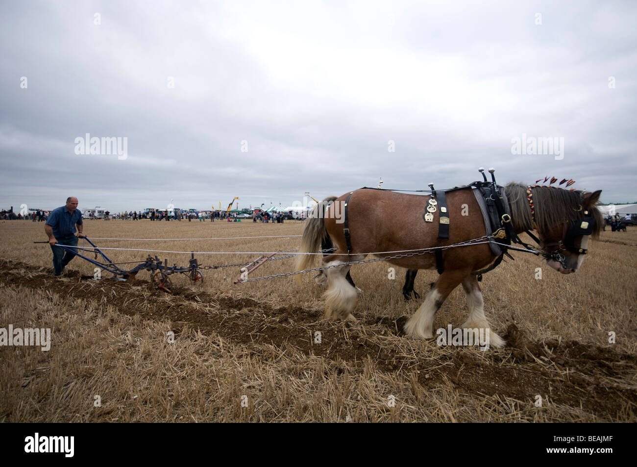 Horses Ploughing field england UK Stock Photo - Alamy