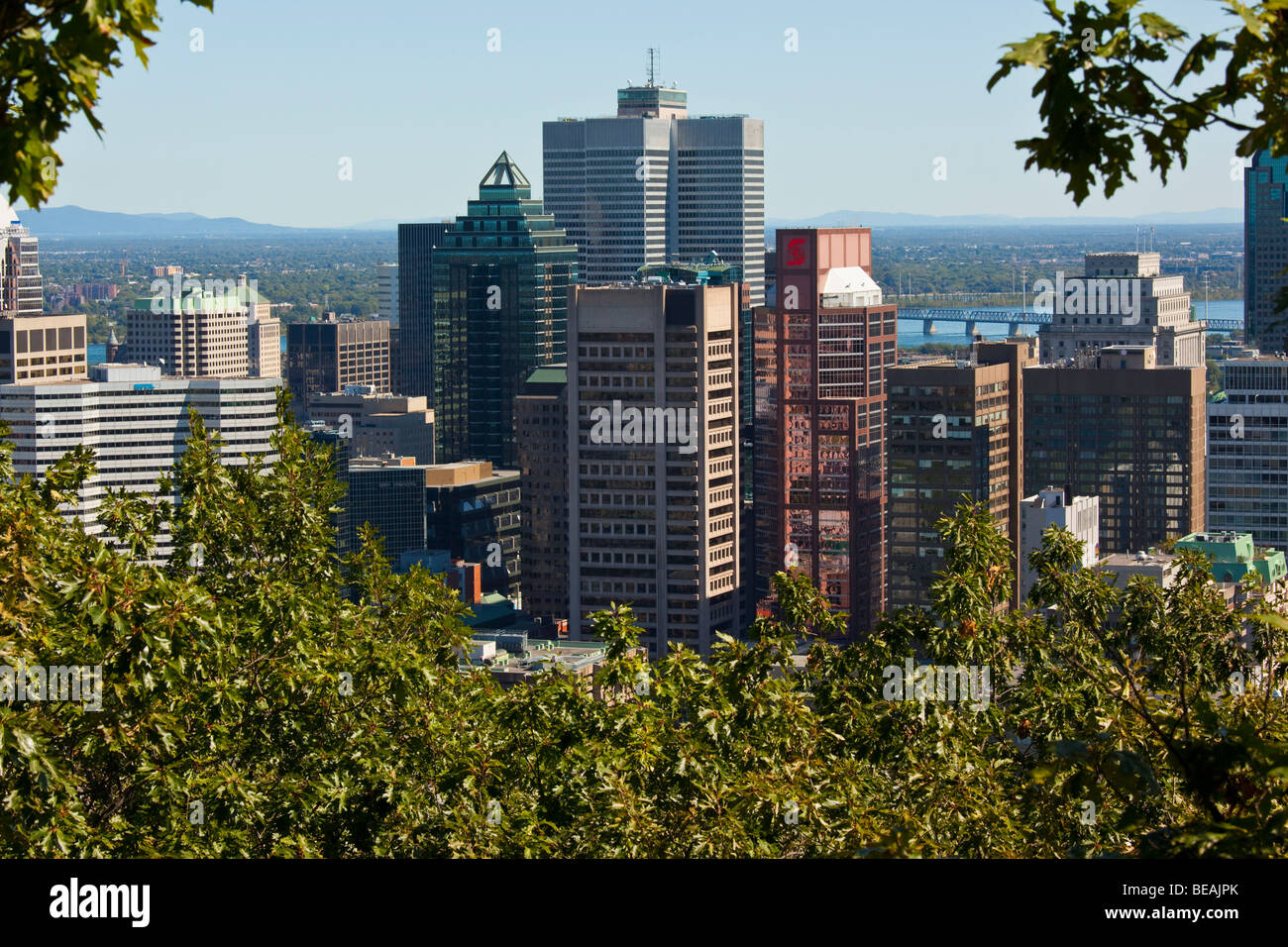Montreal skyline from mount royal hi-res stock photography and images ...