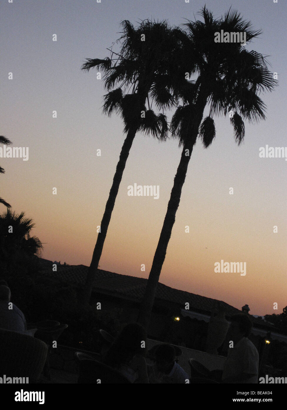 Two trees silhouette hi-res stock photography and images - Alamy