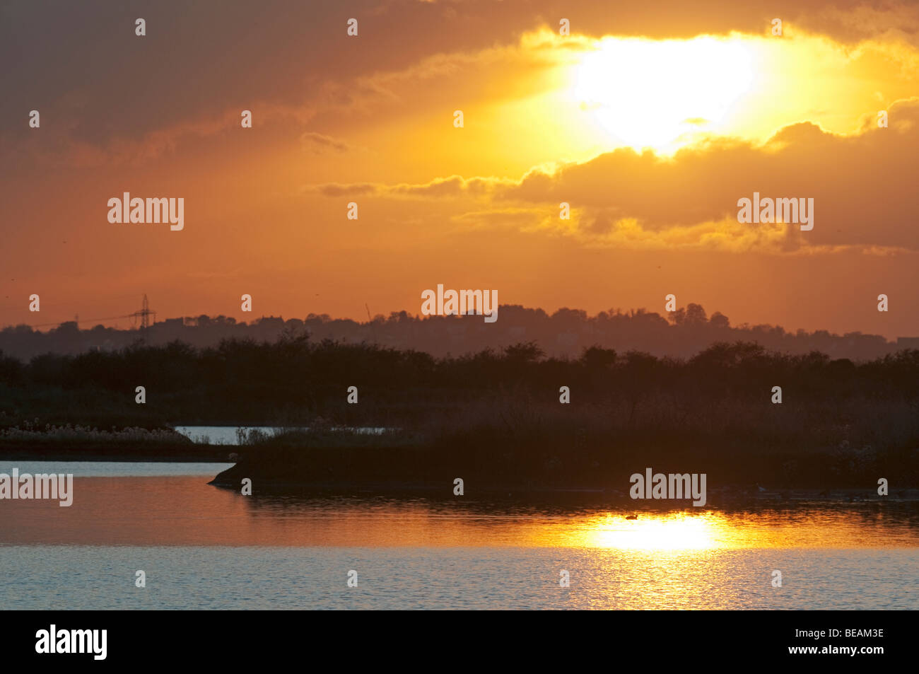 Cliffe pools rspb reserve hi-res stock photography and images - Alamy