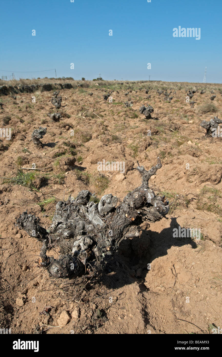 Ec22 767 6788 hi-res stock photography and images - Alamy