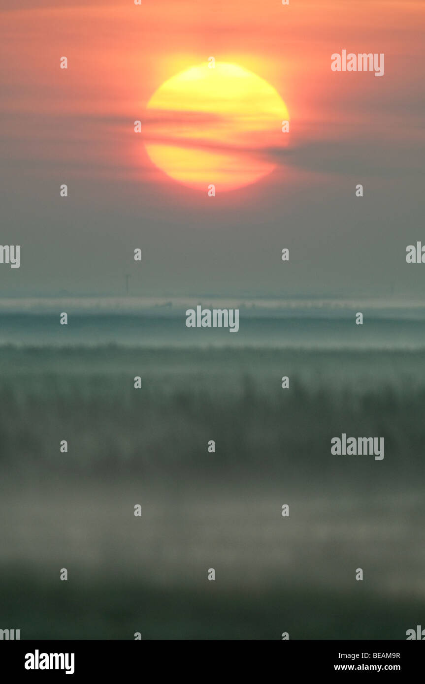 Elmley Marshes at sunrise, Kent, England, Spring Stock Photo - Alamy