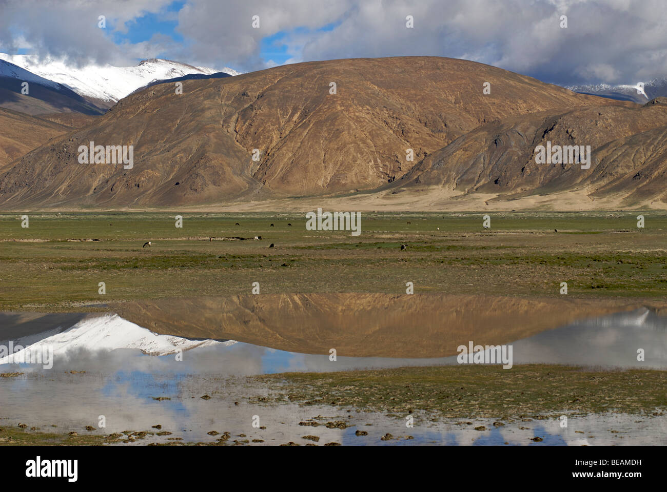 Tibetan plateau scenery en route hi-res stock photography and images ...