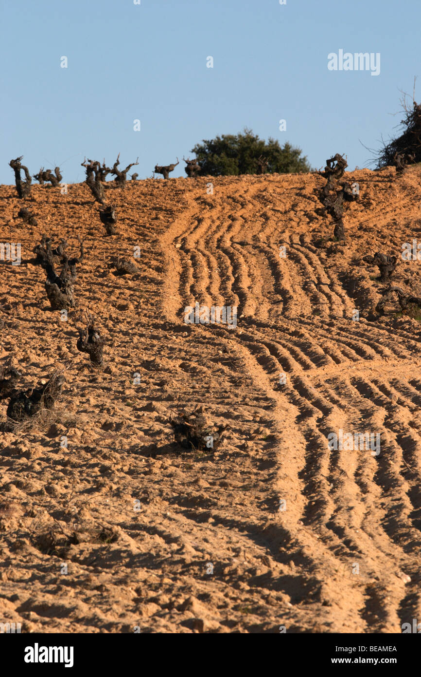 Red sandy soil hi-res stock photography and images - Alamy