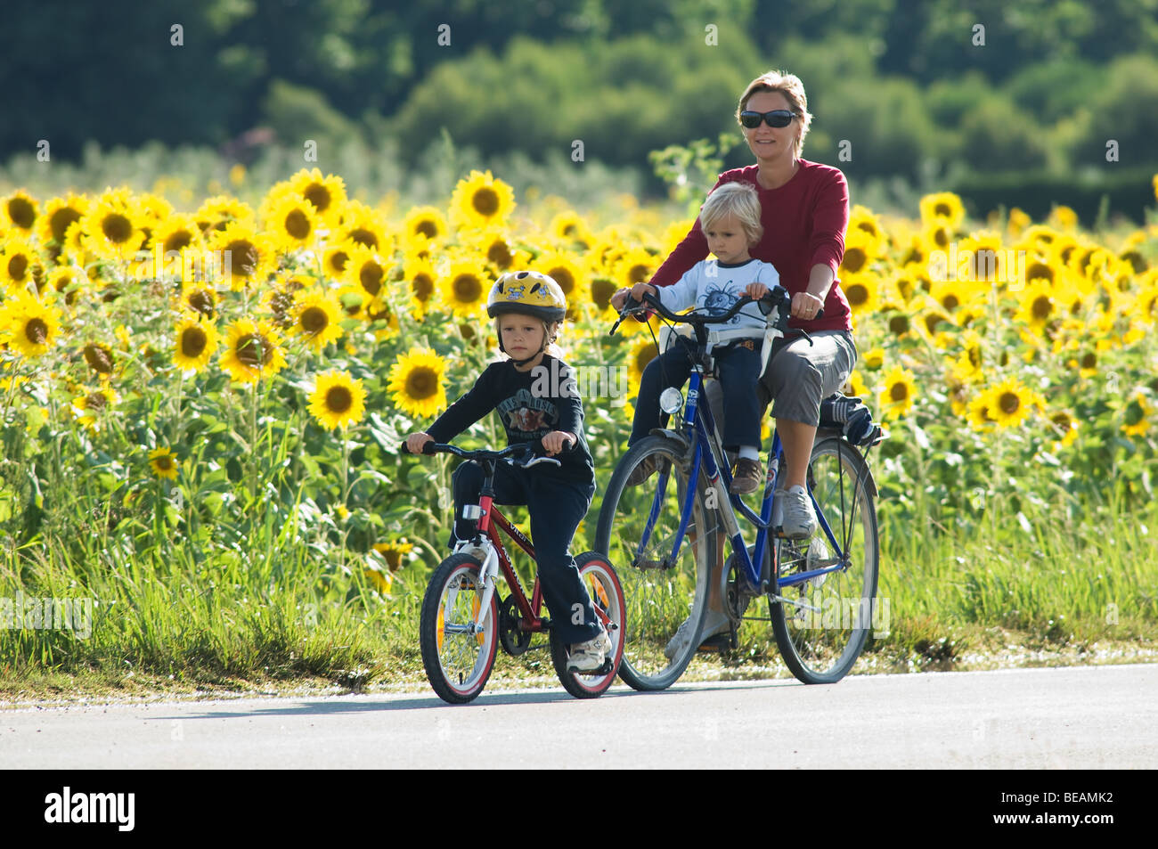Family on the bike trip Stock Photo - Alamy