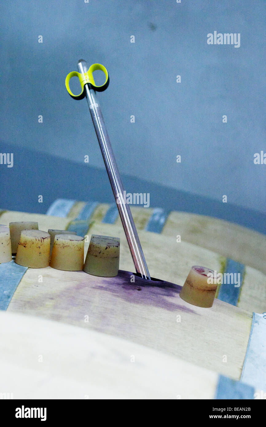 Sampling wine pipette from barrel hi-res stock photography and images ...