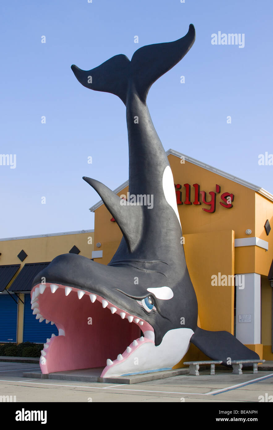 Big blue whale hi-res stock photography and images - Alamy