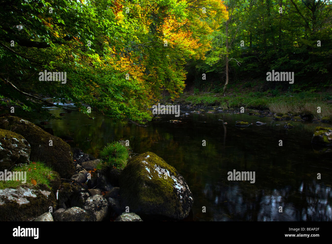 Autumn avon hi-res stock photography and images - Alamy