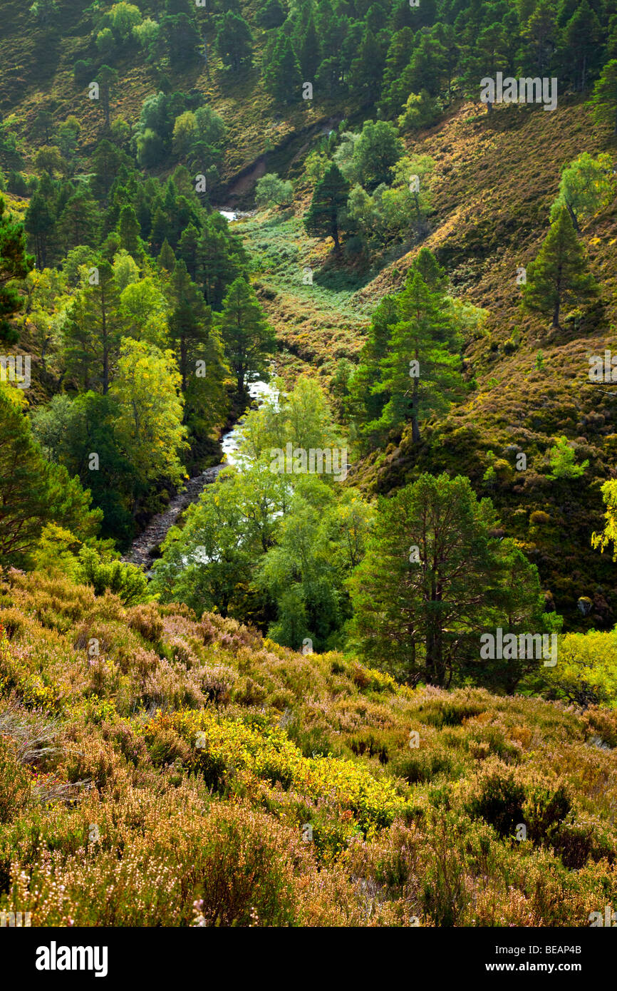 Lairig ghru hi-res stock photography and images - Alamy