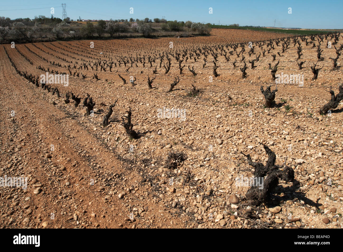 Sandy gravel stony soil hi-res stock photography and images - Alamy