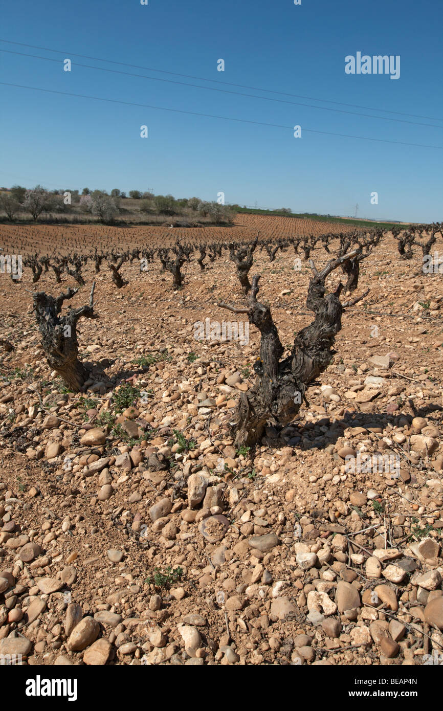 Sandy gravel stony soil hi-res stock photography and images - Alamy
