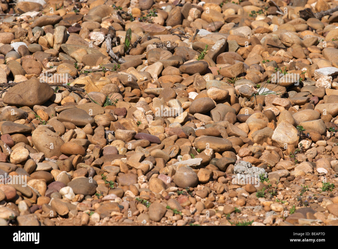 Rocky soil hi-res stock photography and images - Alamy