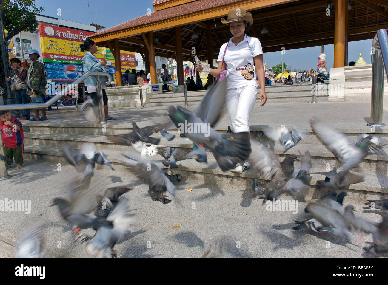 Pigeons e hi-res stock photography and images - Alamy