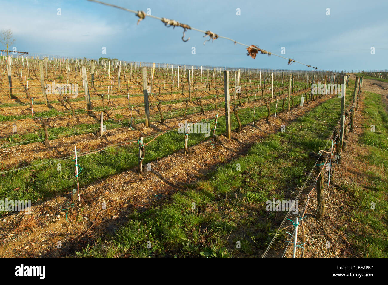 Spraying pesticide vineyard france hi-res stock photography and images - Alamy