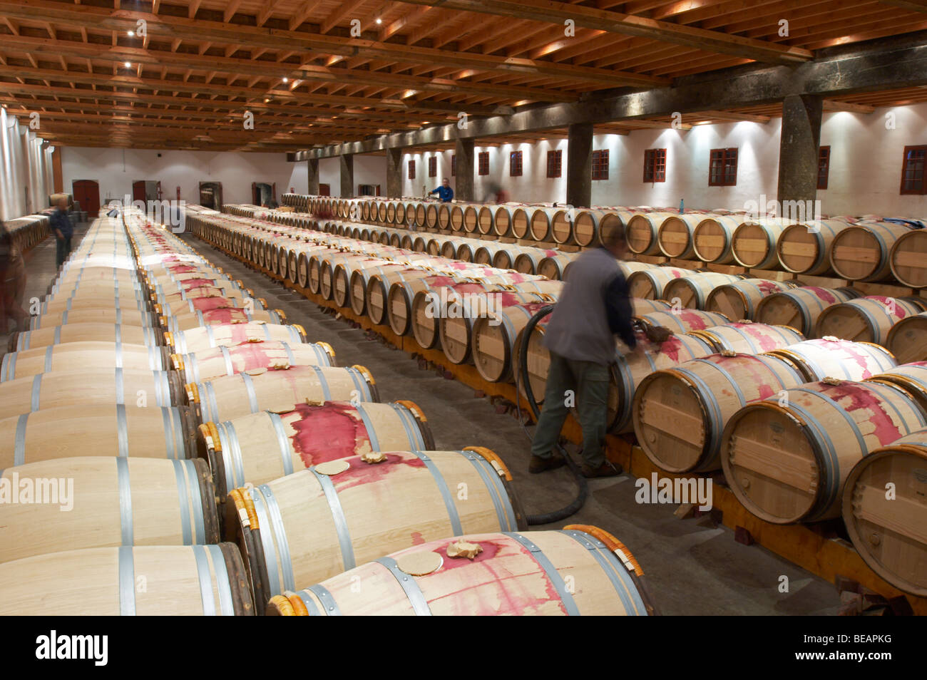 Filling wine barrel hi-res stock photography and images - Alamy