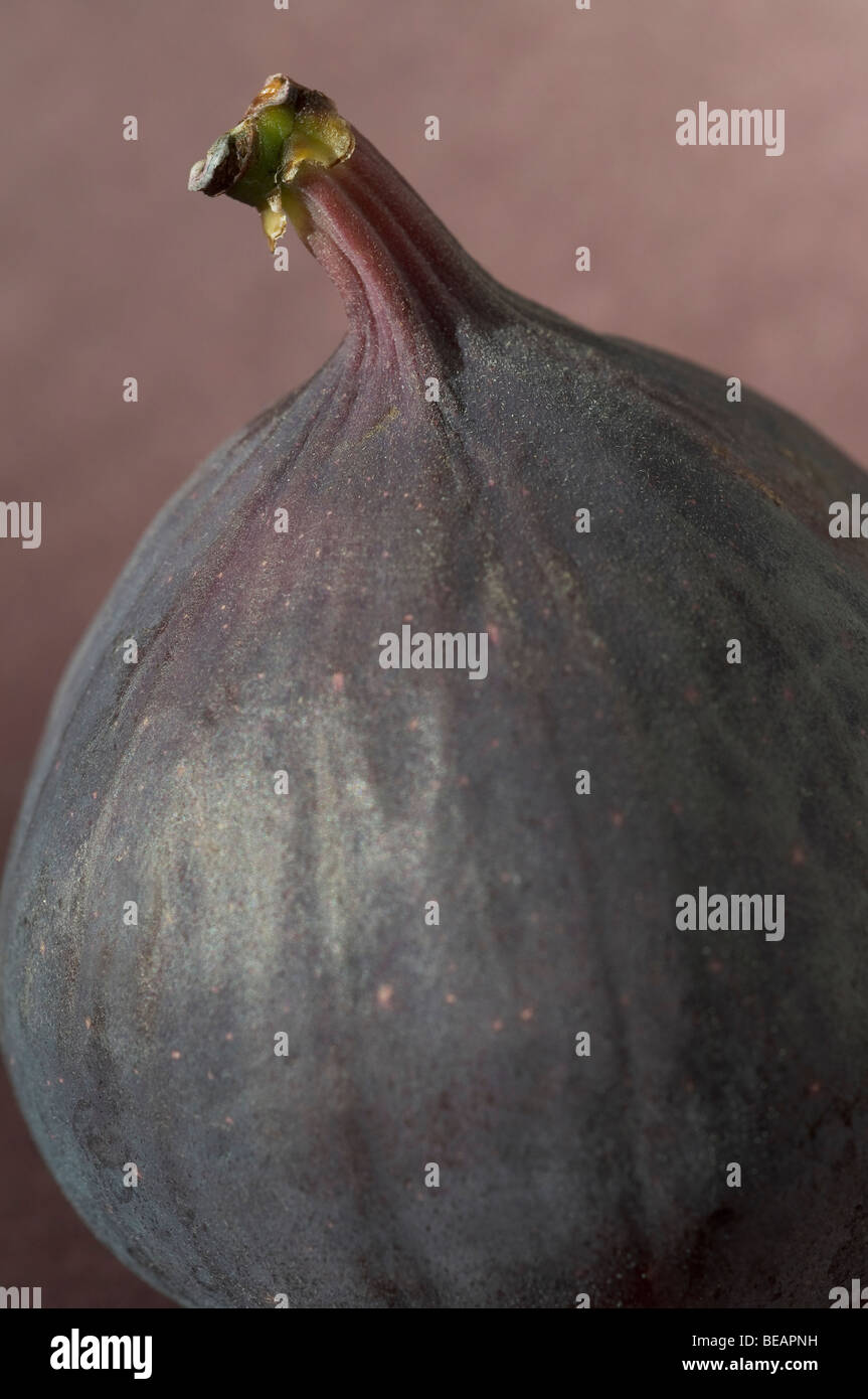 Closeup of a fig Stock Photo - Alamy