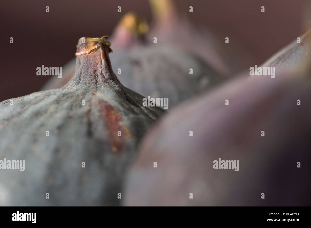 Closeup of a group of figs Stock Photo - Alamy