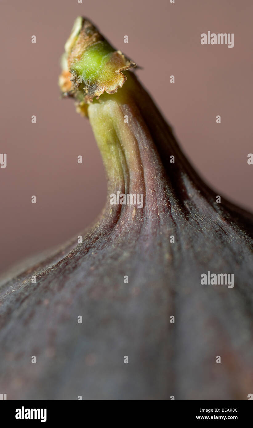 Closeup of a fig Stock Photo - Alamy
