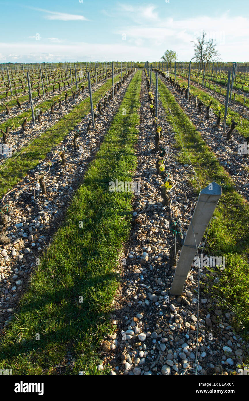 Spraying pesticide vineyard france hi-res stock photography and images - Alamy