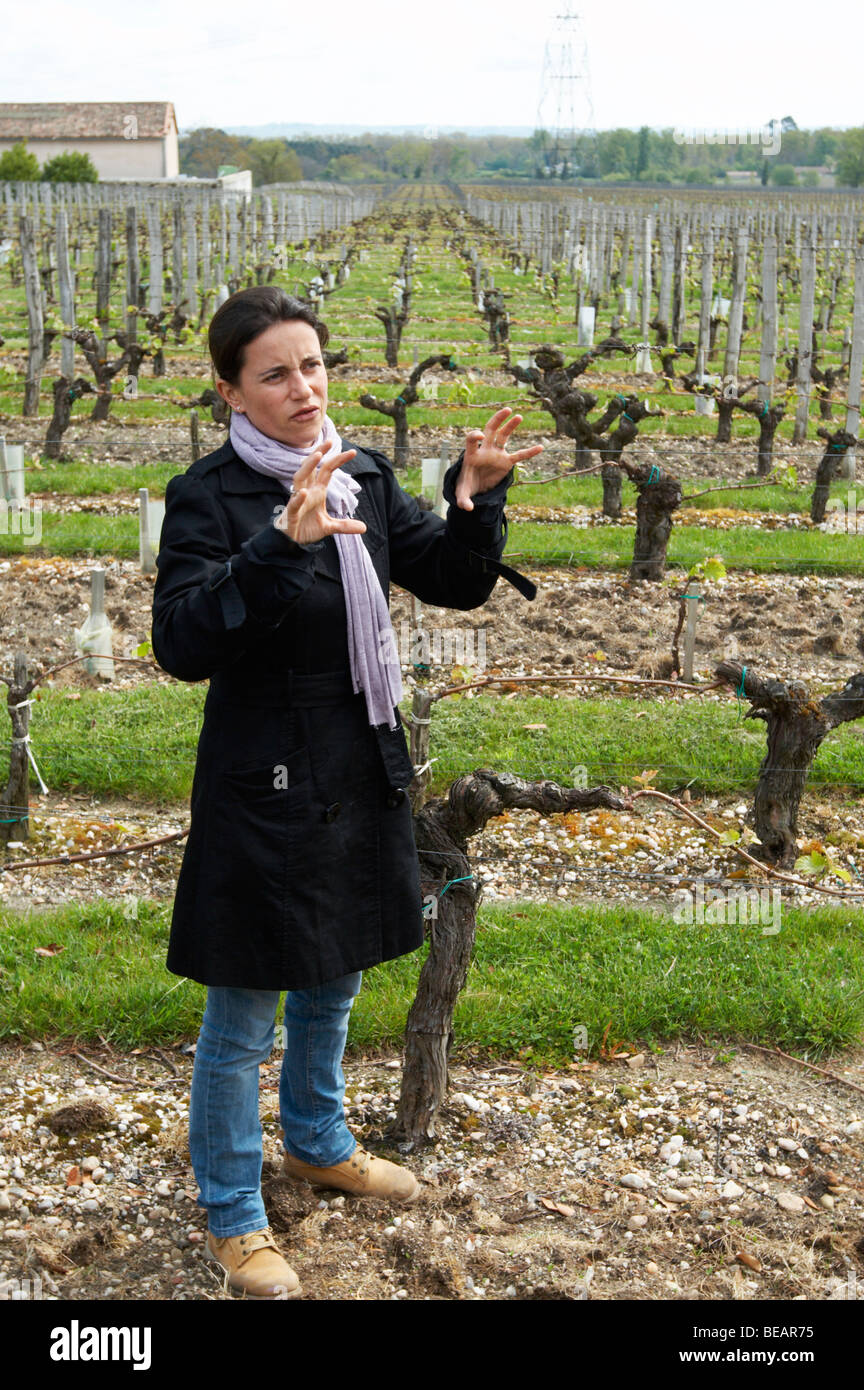 Oenologist hi-res stock photography and images - Alamy