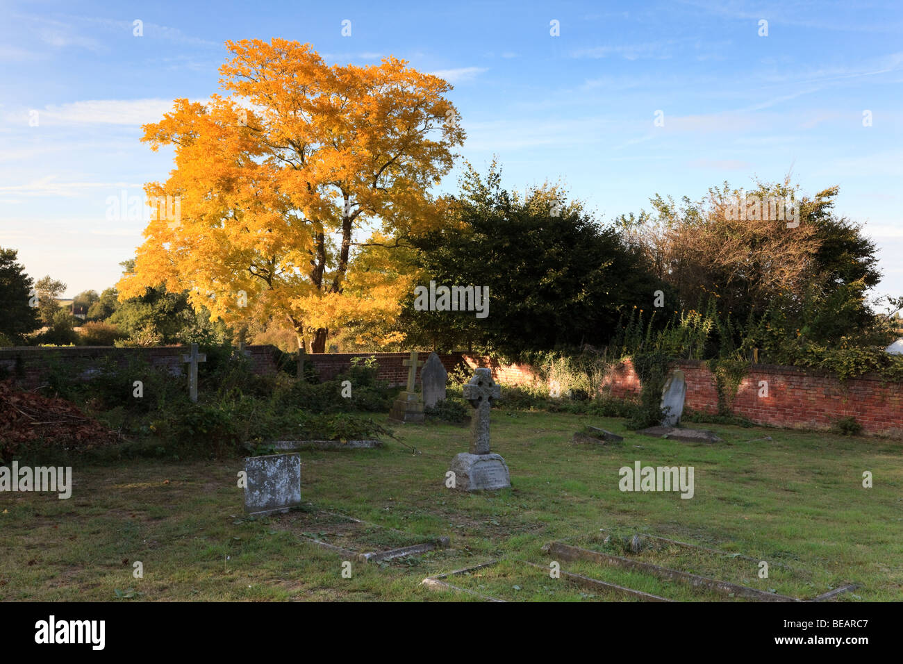 Churchyard and tree with golden autumn colour at the church of St John ...