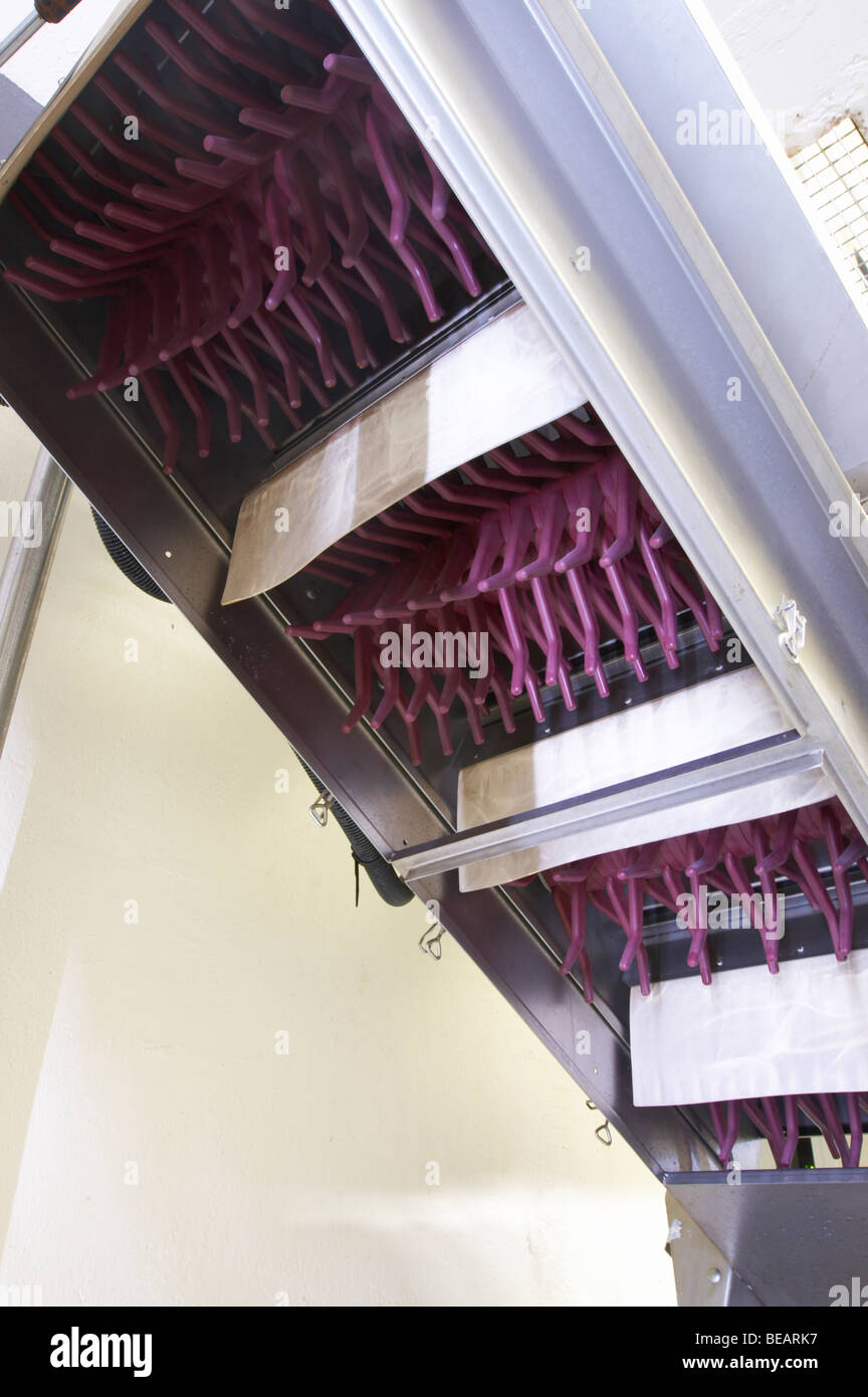 egreneur socma automatic grape sorting machine ch gd barrail lamarzelle ...